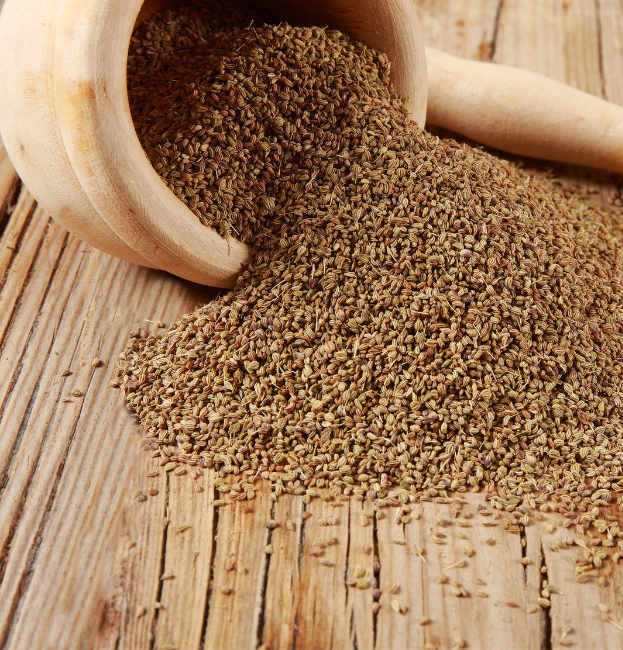 Ajwain – Jaise Trade International
