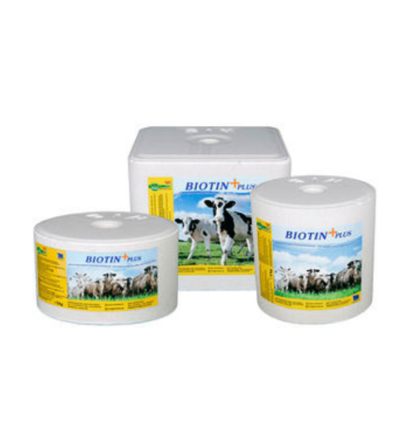 Biotin – Jaise Trade International